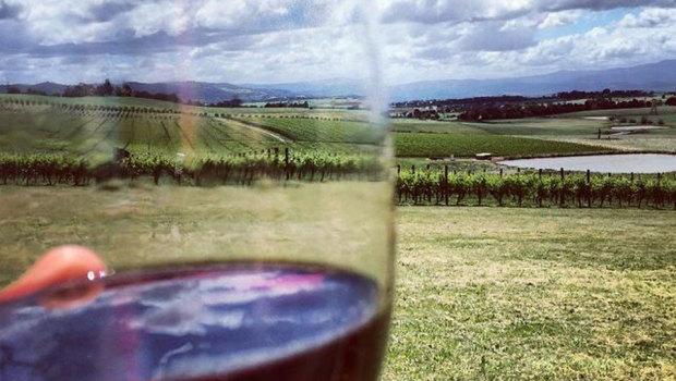 Al Dente Cooking Classes at Billanook Estate | Yarra Valley Lodge